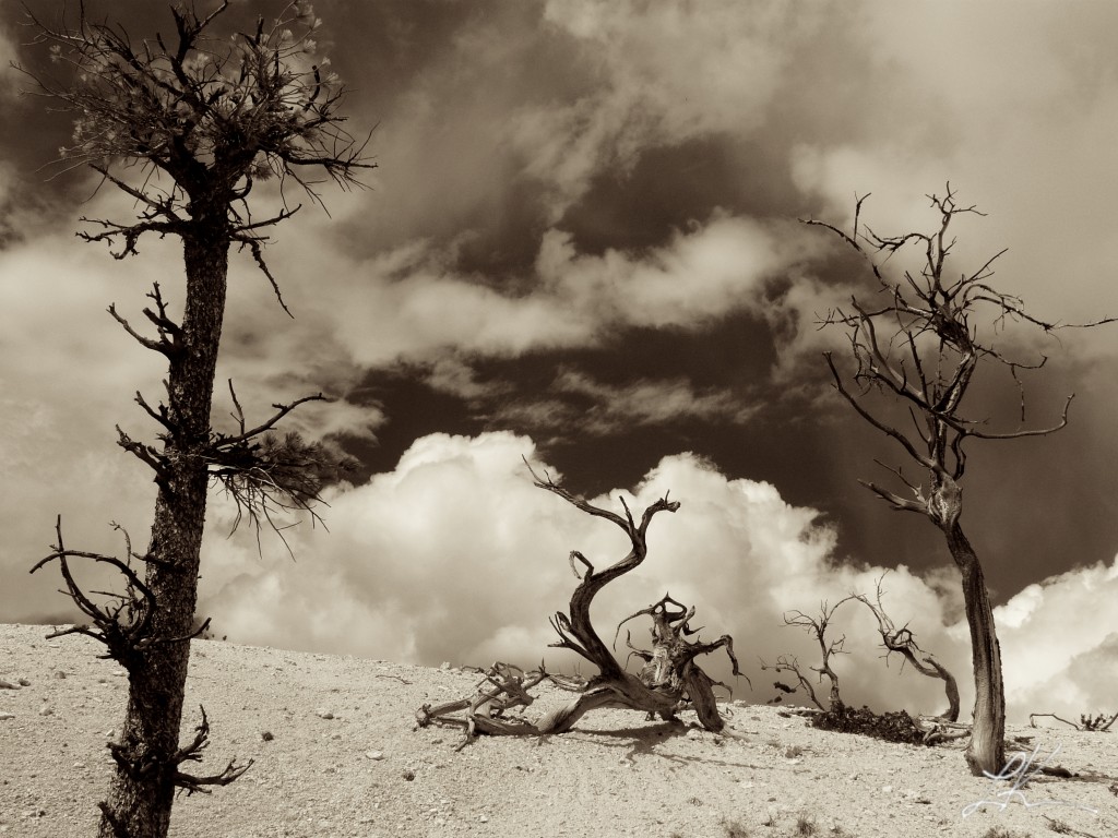 Addressing the Shadow Side of Creativity | Laura K Kerr, PhD