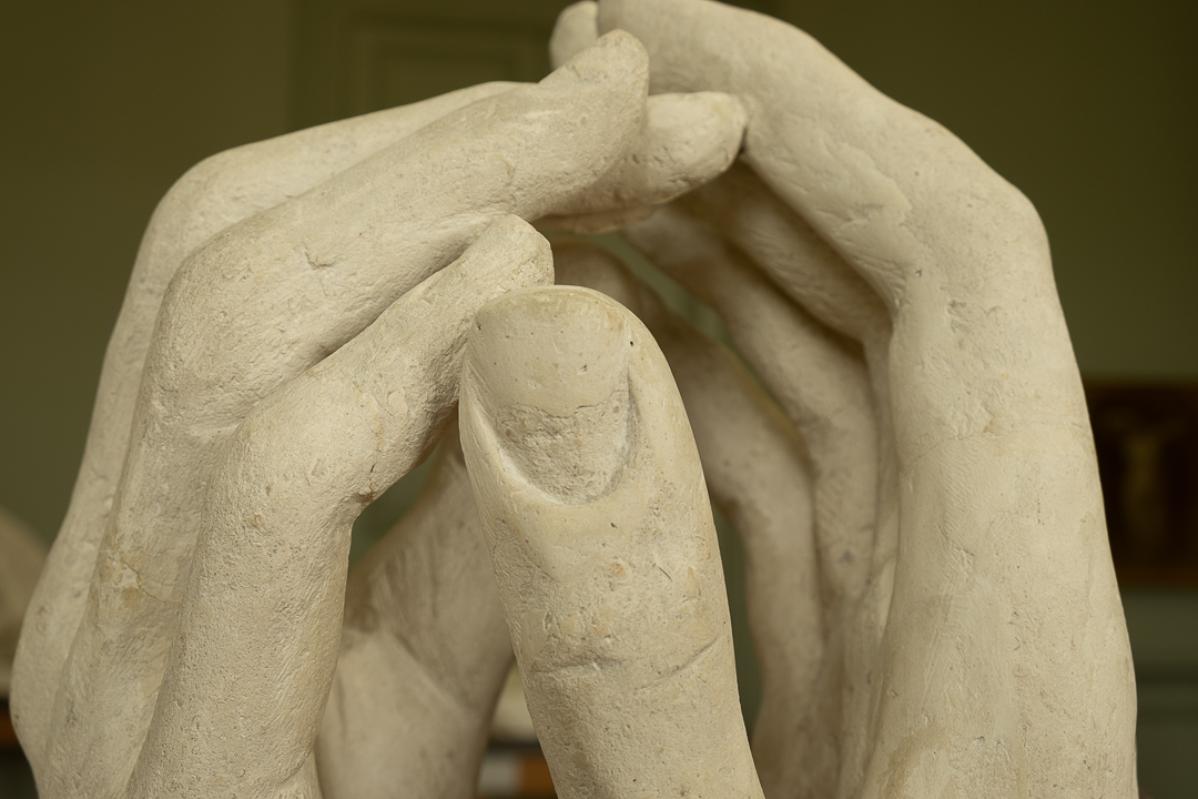 What is the function of the brain? | Laura K Kerr, PhD