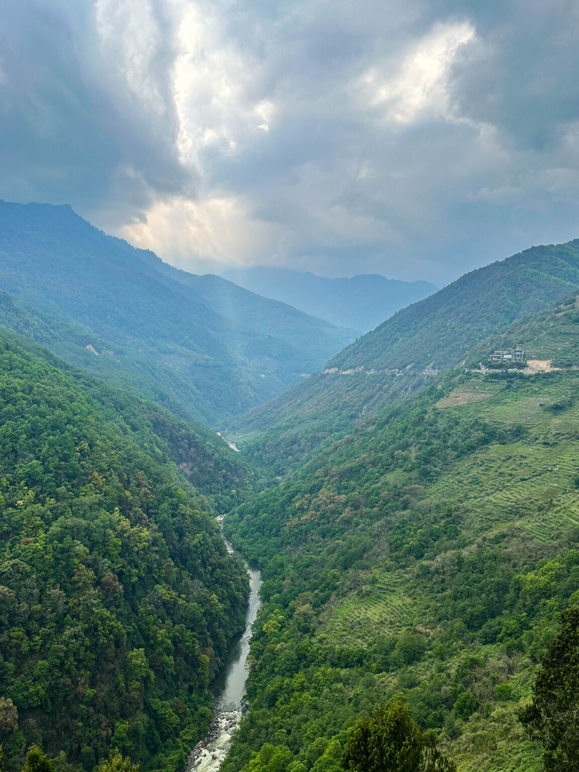 laura k kerr, phd | scholar & author